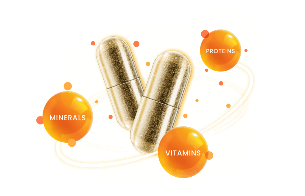 Capsules – Elix